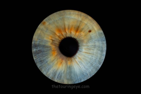 Iris Photography | The Touring Eye | UK