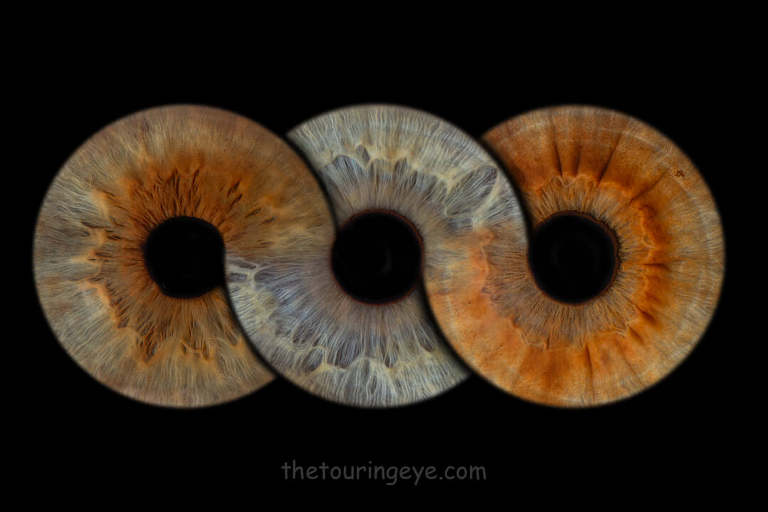 Iris Photography | The Touring Eye | UK