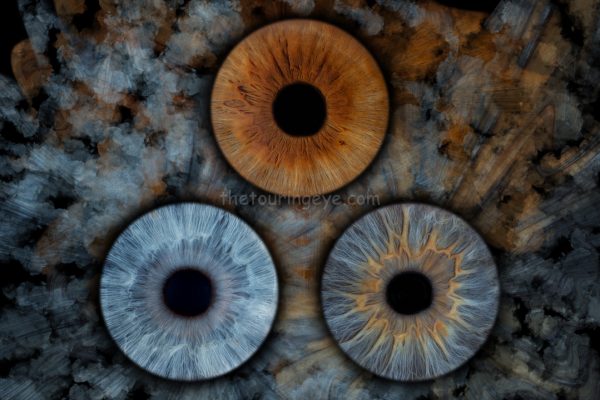 Iris Photography | The Touring Eye | UK