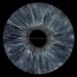 Blue Eyes: The Science, Myths, and Hidden Risks