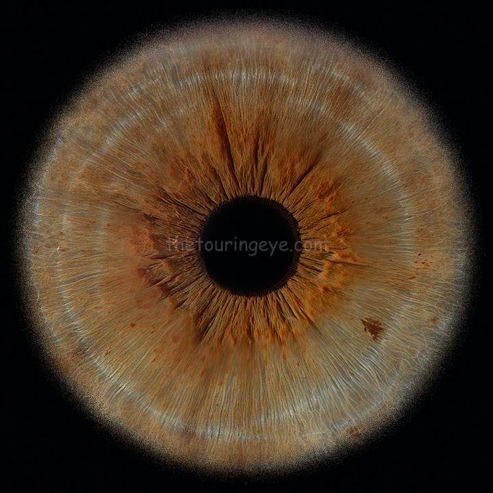Green vs Hazel Eyes: What’s the Actual Difference?