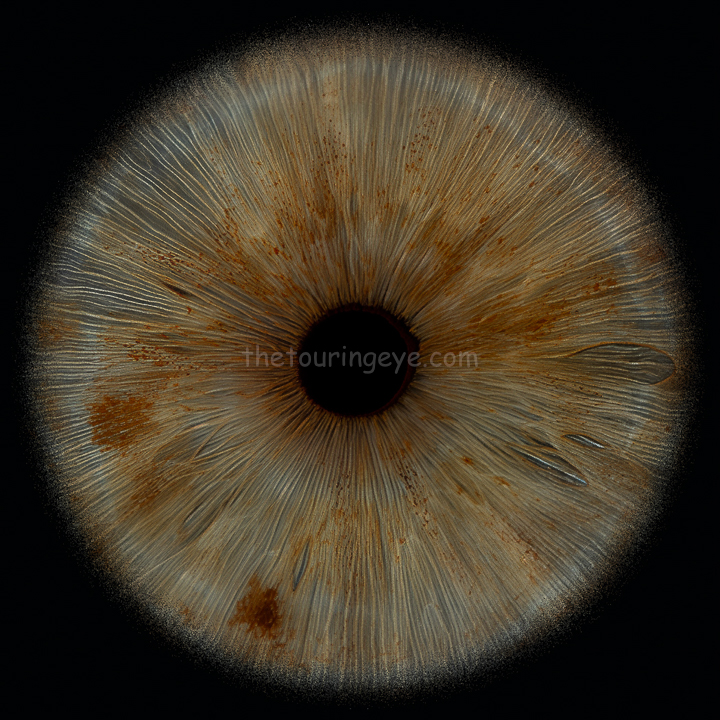 Green vs Hazel Eyes: What’s the Actual Difference?